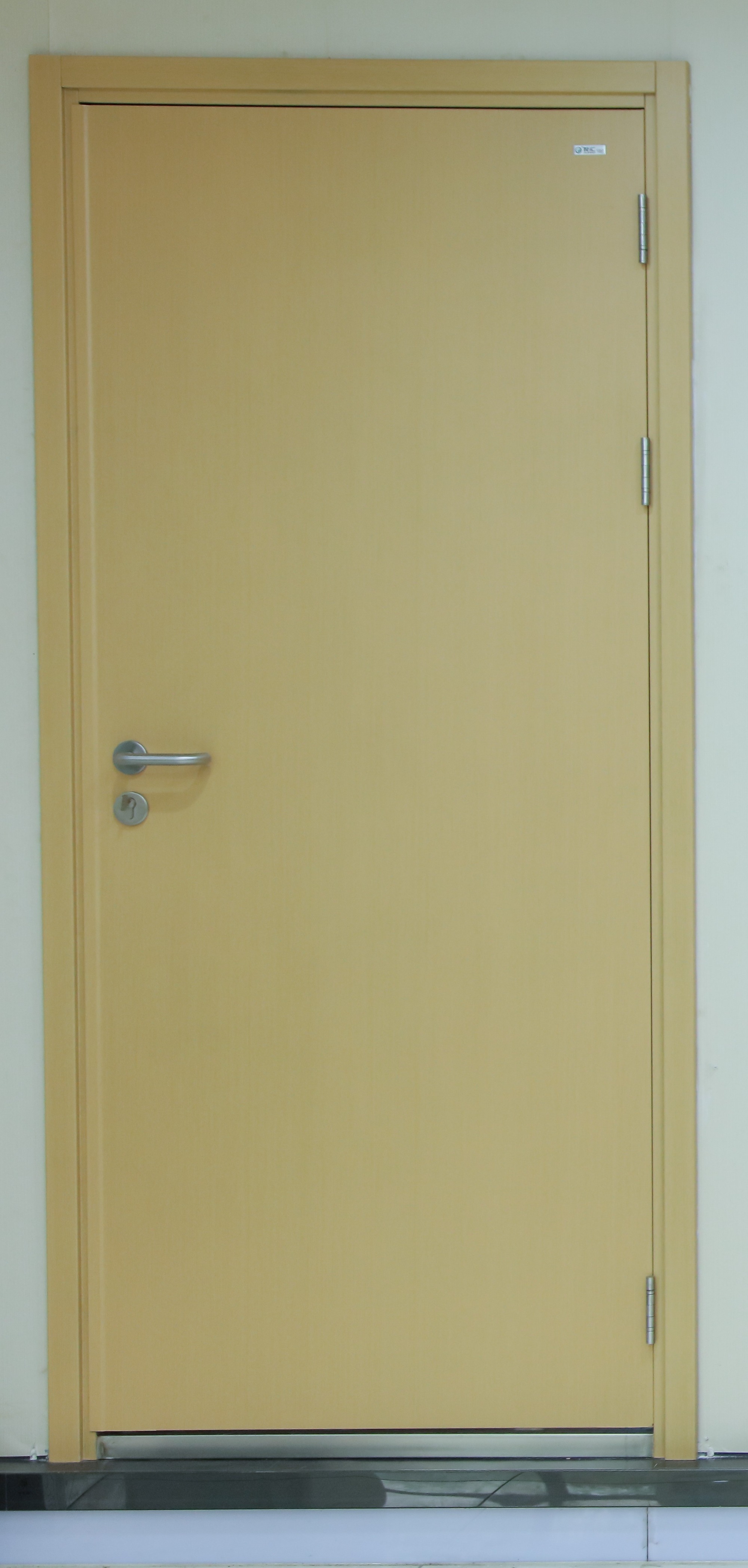wooden surface finish UL Listed fire rated steel doors with concealed ...